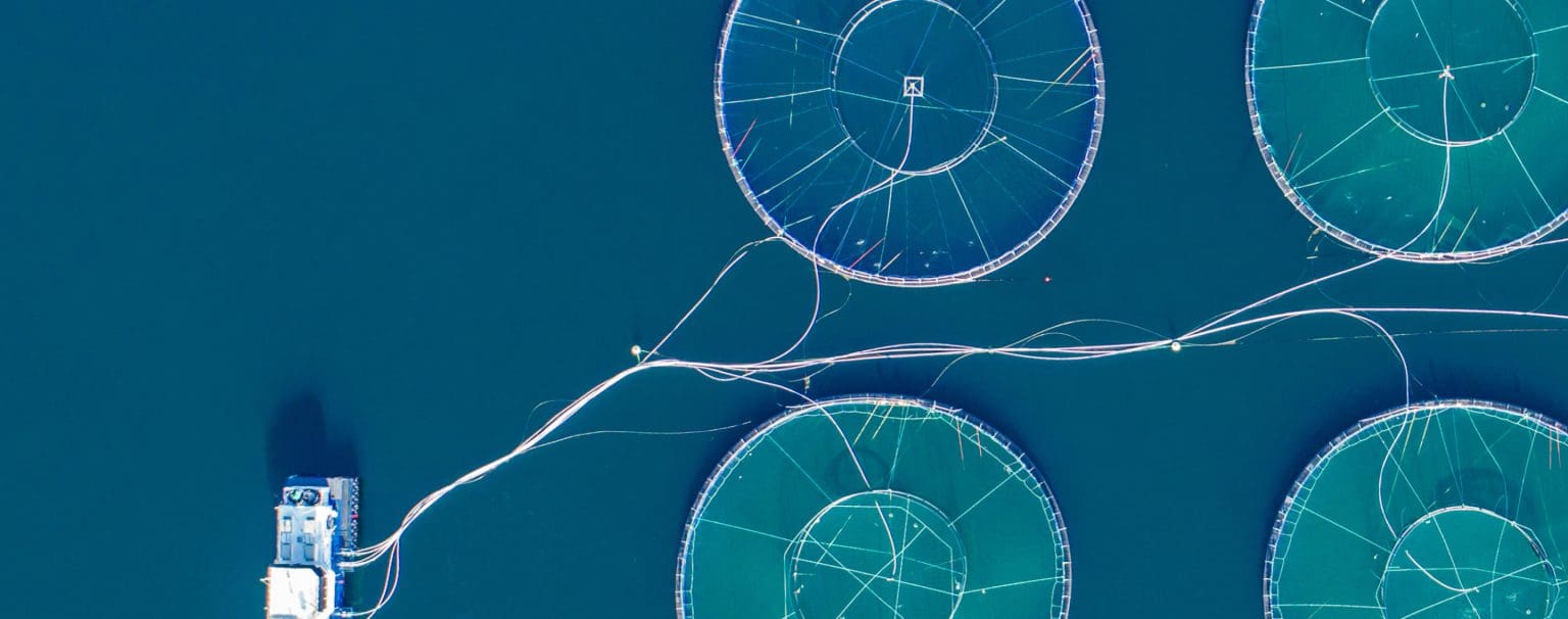 Solutions - PCI Gases